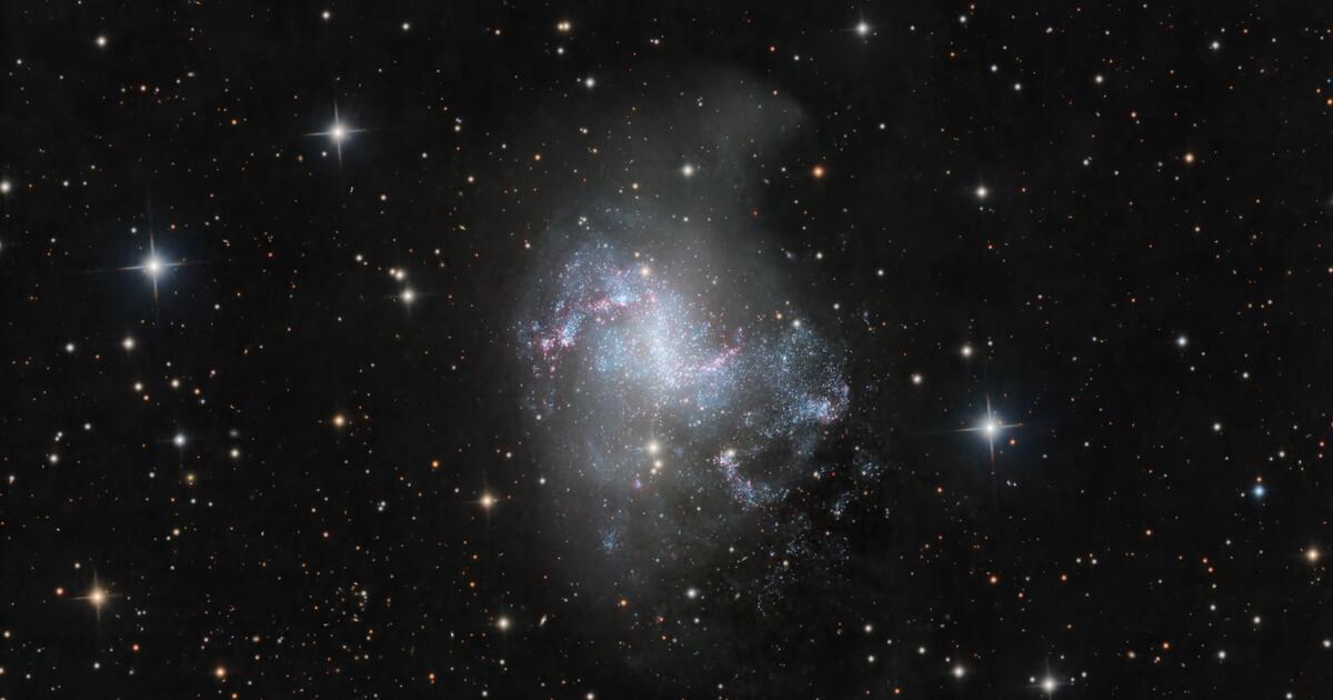 NGC 1313 | Telescope Live